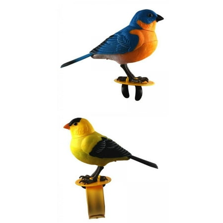 singing bird,Funny Singing Chirping Bird Sound Activated,Kids Battery ...