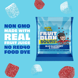 FruitBlox Stokes Twins Sour Fruit Snacks, Blue Raspberry & Cherry, 22 ...