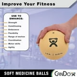 CanDo Soft Medicine Ball 5" Diameter 1lb Tan Exercise Ball for Physical ...