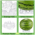 100 Pack Plastic Melon Cradles, Clear Watermelon Support Stand Hold up ...