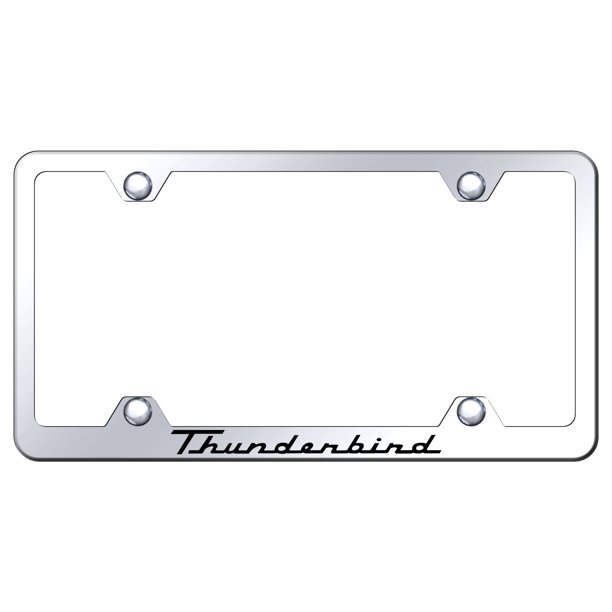 Thunderbird Logo