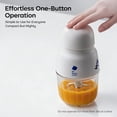 Baby Food Maker-Glass Puree blender for Fruit, Vegatable & Meat,Mini ...