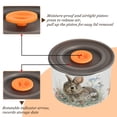 500ml Stainless Steel Food Storage Containers Baby Rabbit with Grass ...