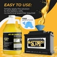 Battery Guyz Desulfator for Lead-Acid Batteries, 6V, 8V, 12V, 48V ...