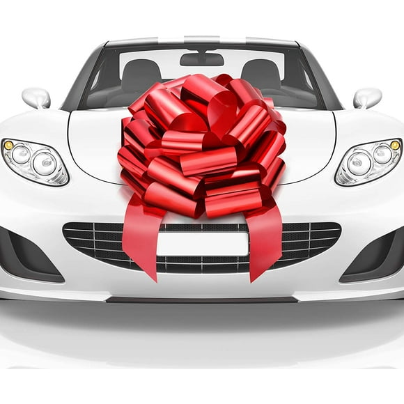 Giant Bow Gift