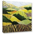 ArtWall Allan Friedlander "Delta Fields" Gallery-Wrapped Canvas ...