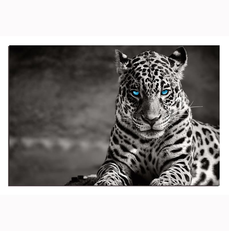 Clearance! Oppidan Home "Spotted Leopard in Black and White" Acrylic ...