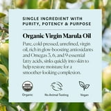 Sky Organics Pure Organic Virgin Marula Skin Care Oil-Moisturizer for ...