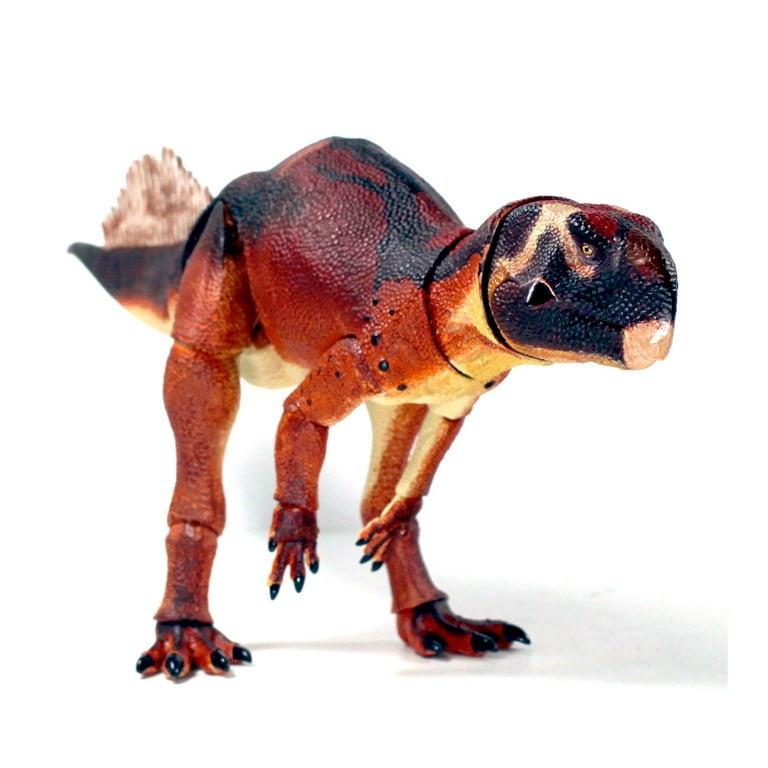Just Bought The Fully Poseable Psittacosaurus 1/6th Model, 49% OFF