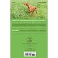 Pointing Dogs : How to Train, Nurture, and Appreciate Your Bird Dog ...
