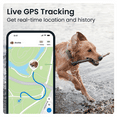 Free Shipping! Tractive XL Dog GPS Tracker with Activity Monitoring ...