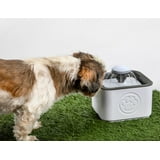 Paw Perfect Portable Pet Water Fountain for Dogs and Cats, BPA Free ...