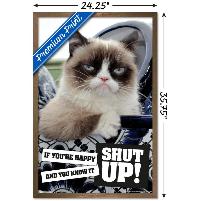 Hang In There Grumpy Cat