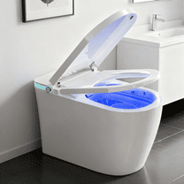 HOROW Luxury Smart Toilet with Warm Water, Dual Electric Operated ...