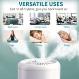 AirExpect Ultrasonic Humidifier for Dry Room - Auto Shut, Top Fill 3.5L ...