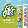 Go-GURT Kids Fat Free Yogurt Variety Pack, 2 oz Yogurt Tubes (16 Ct ...