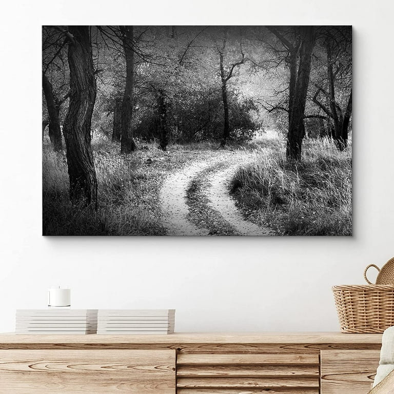 Dark Forest Path Black And White