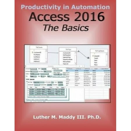 Access 2016: The Basics | Walmart Canada