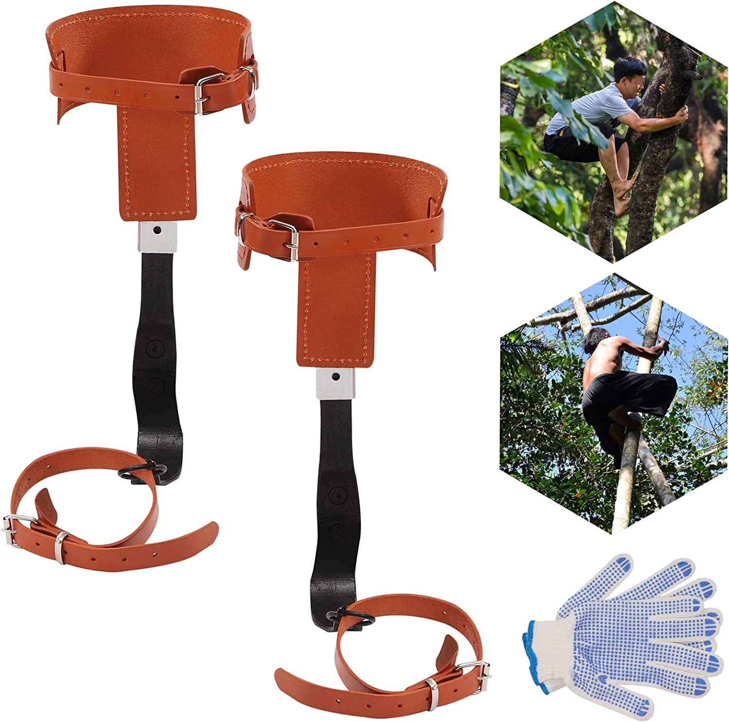 Miumaeov Tree Climbing Spike Set Pole Climbing Spurs Steel Adjustable ...