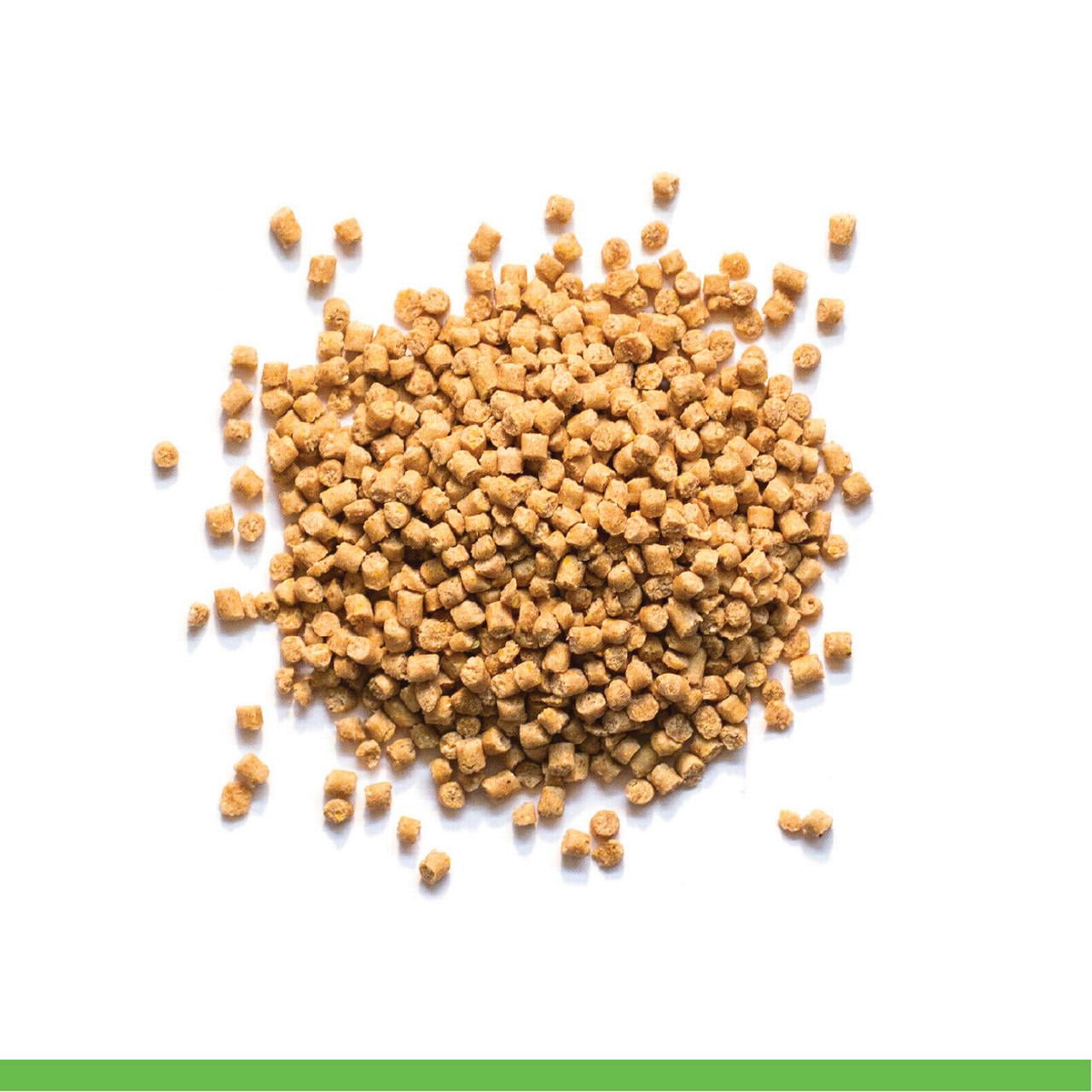 ZuPreem® Natural Bird Food | Daily Bird Food for Small Birds | 2.25 lb