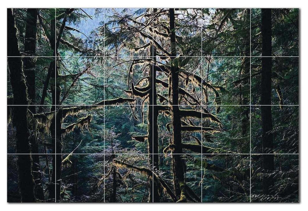 Trees Forest Ceramic Tile Mural Kitchen Backsplash Bathroom Shower ...