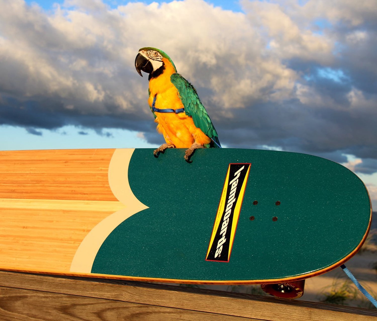 Hamboards Classic Surfskate Longboard Bamboo Sano 6'6" with Super ...