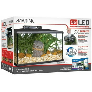 Aqueon Aquarium Starter Kit, 10 Gallon Glass Fish Tank, LED Lighting ...