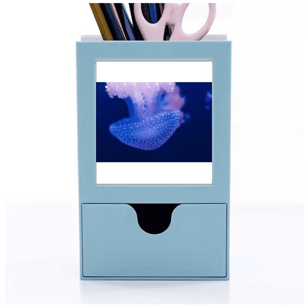 Jellyfish Marine Organism Tropical Sea Desk Supplies Organizer Pen ...