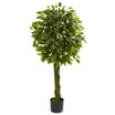 Nearly Natural 4 ft. Ficus Artificial Tree with Woven Trunk, UV ...
