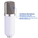 BM-700 Recording Kit: Condenser Microphone, NB-35 Arm Stand, Shock ...