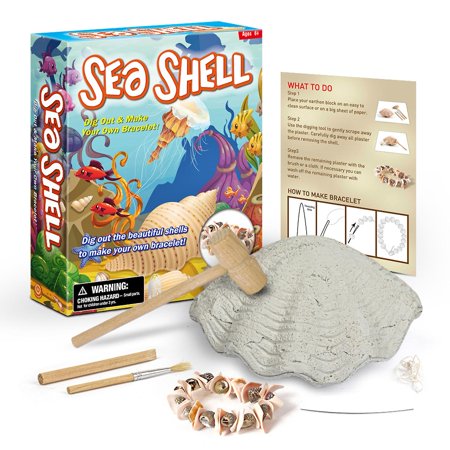 Shell Fossil Excavation Archaeological Toy Set Kids' Early Development ...