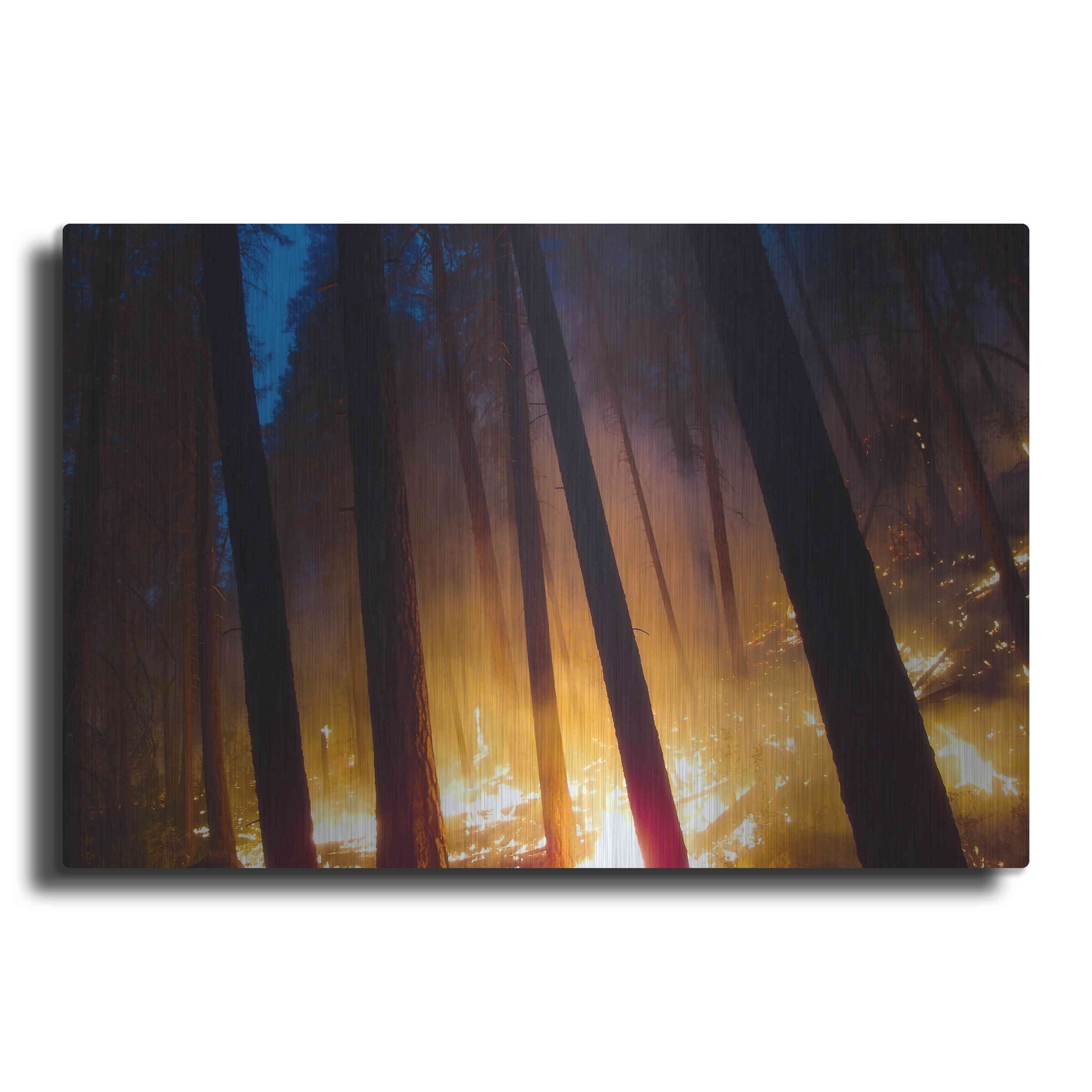Luxe Metal Art 'Burning Forest' by Thomas Haney, Metal Wall Art, 16"x12 ...