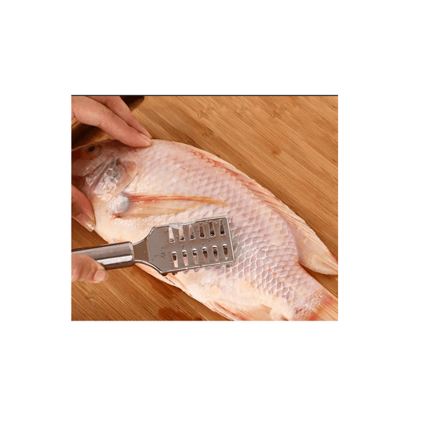 Stainless Steel Fish Scale Planer Scale Scraper Scaler - Walmart.ca