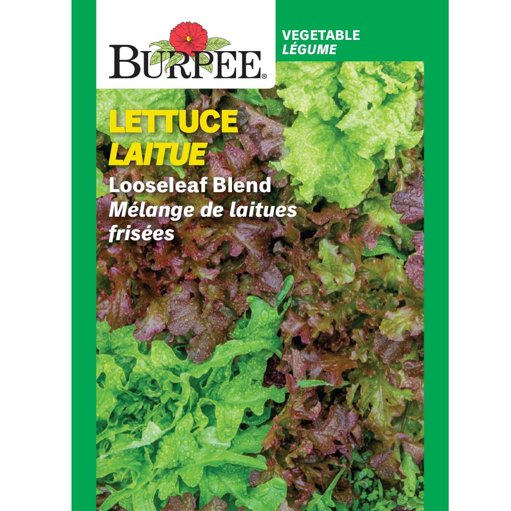 Click here for Burpee Canada Burpee Looseleaf Blend Lettuce prices