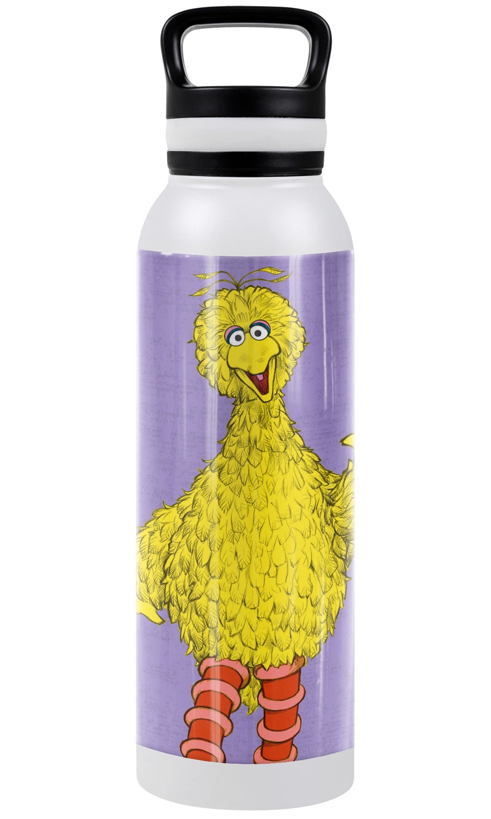 Sesame Street Official Big Bird Painting 24 oz Insulated Canteen Water ...