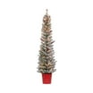 Haute Decor 5 Foot Pre-Lit Timberland Fir Potted Christmas Tree ...