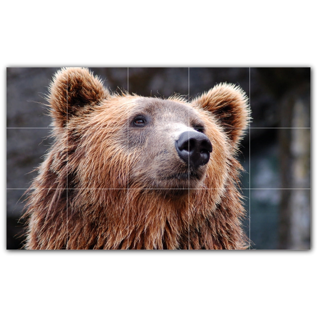 Picture-Tiles.com: Bear Ceramic Tile Wall Mural WAL500127-53M. 30"W x ...
