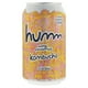 Humm Kombucha Tea, Mango Passionfruit, Probiotic, Organic, 12oz Can ...