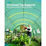 Quictent 20x10x6.6 FT Walk-in Greenhouse, Heavy Duty w/ Reinforced PE Cover, Green - Walmart.com