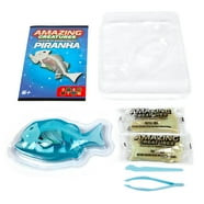 ScienceWiz DNA Kit - Walmart.com