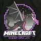 Minecraft Enderdragon Enderman Bomber Jacket for Boys (Sizes 4-18 ...