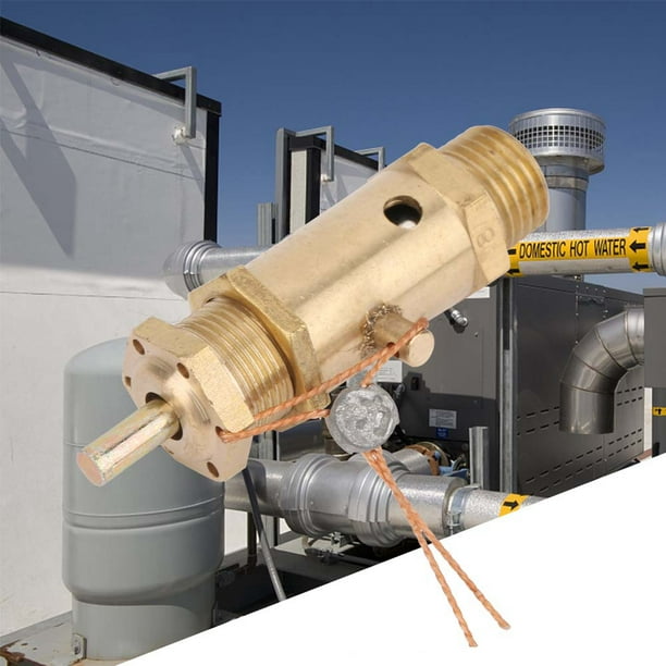 Safety Valve,G1/4 Air Compressor Safety Pressure Valve Relief Valve Eco ...