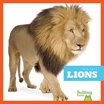 Big Cats: Lions (Hardcover) - Walmart.com
