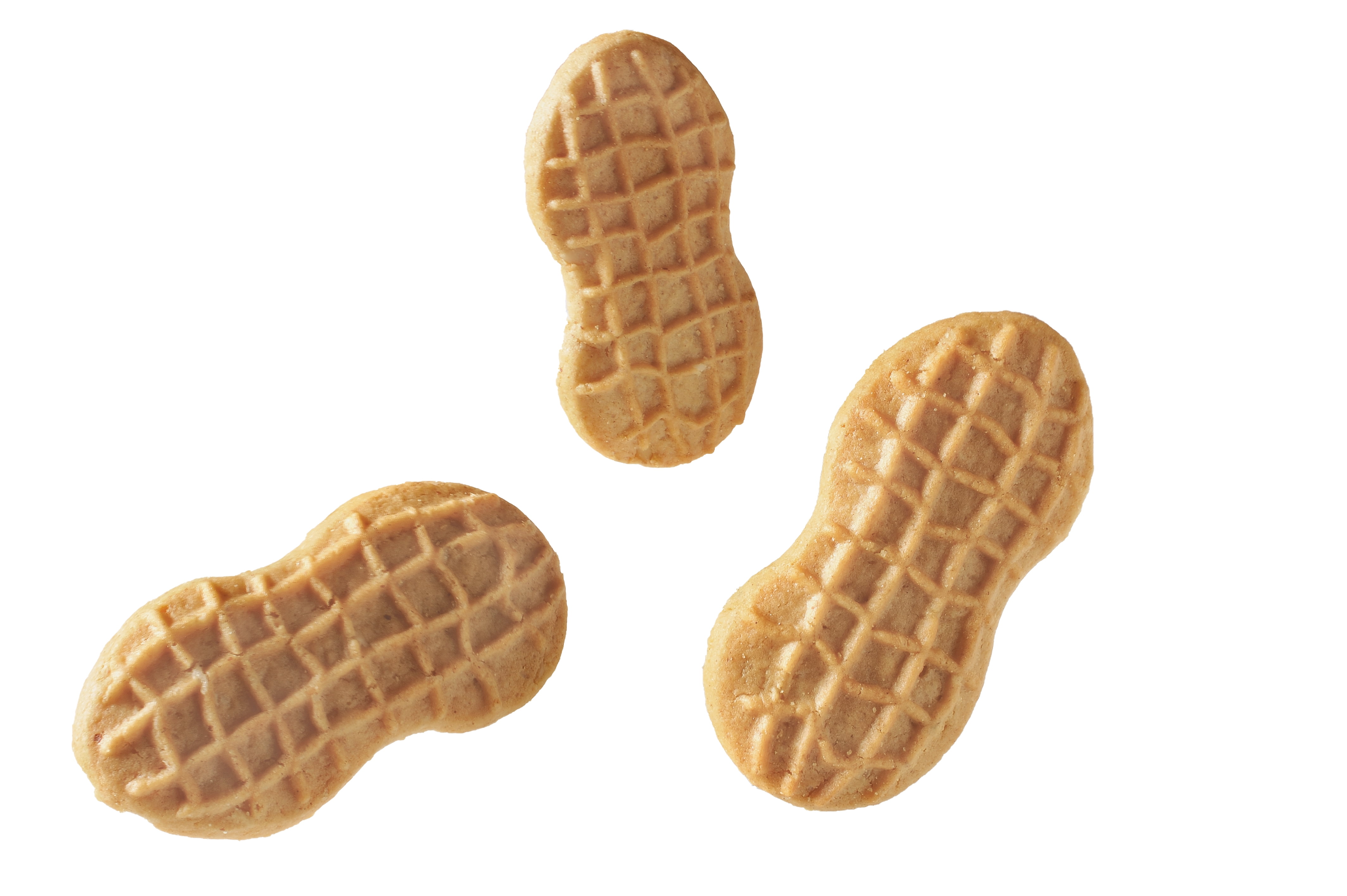 Peanut Butter Cookie Clipart