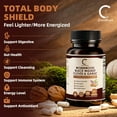 Black Walnut Wormwood Supplement, w/Clove,Garlic Herbal Supplement for ...
