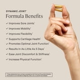 Stonehenge Health Dynamic Joint Supplement, ApresFlex Boswellia, MSM ...