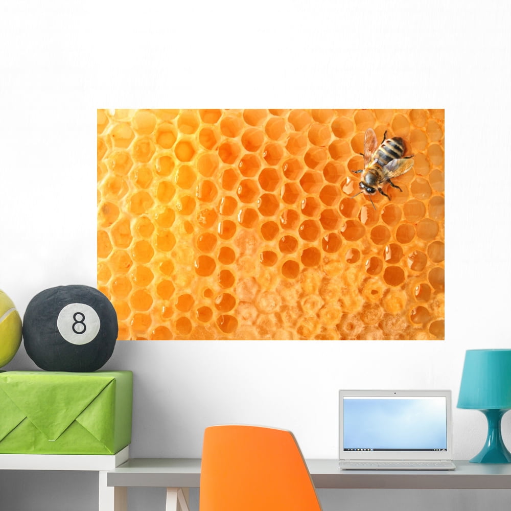 Bee Honeycomb Wall Mural by Wallmonkeys Peel and Stick Graphic (36 in W ...