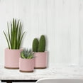 Olly & Rose Pastel Pink Ceramic Plant Pots (Set of 3) with Bamboo ...