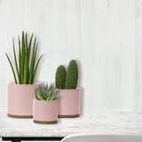 Olly & Rose Pastel Pink Ceramic Plant Pots (Set of 3) with Bamboo ...