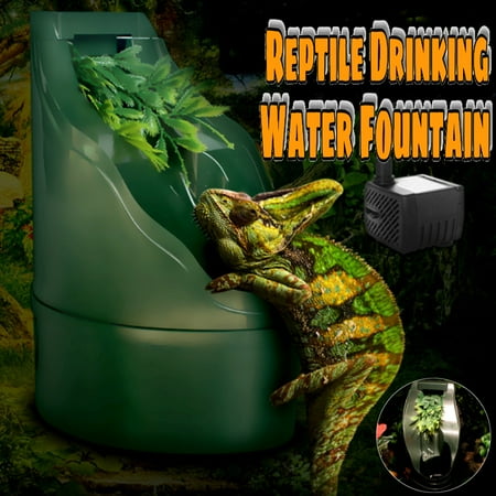 Reptile Drinking Water Fountain Chameleon Lizard Dispenser Terrarium ...
